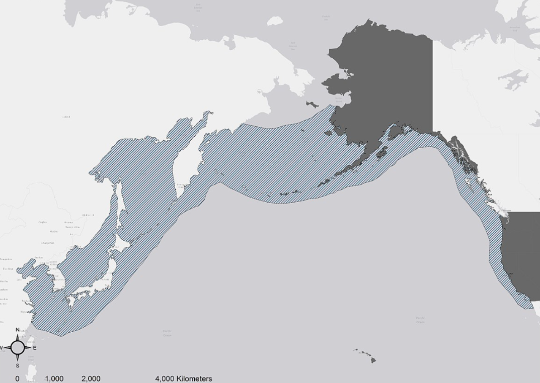 Species Spotlight: Giant Pacific Octopus — Alaska Wildlife Alliance (AWA)