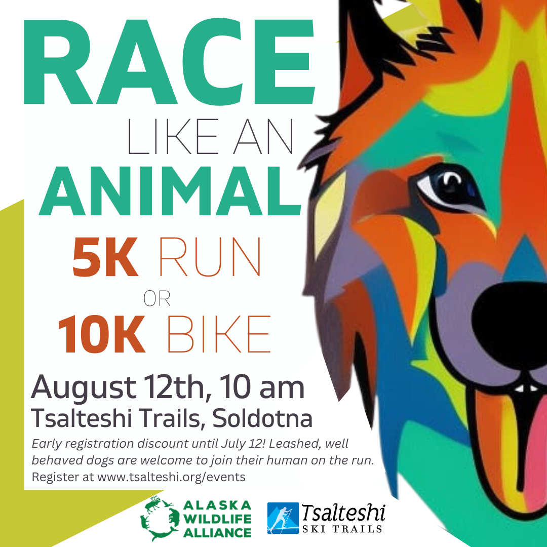 Race Like an Animal running and biking event! — Alaska Wildlife ...