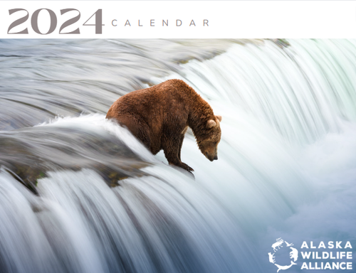 Wildlife Protection & Conservation | Alaska Wildlife Alliance (AWA)