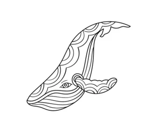 Humpback Whale: The Whale with a Song — Alaska Wildlife Alliance (AWA)