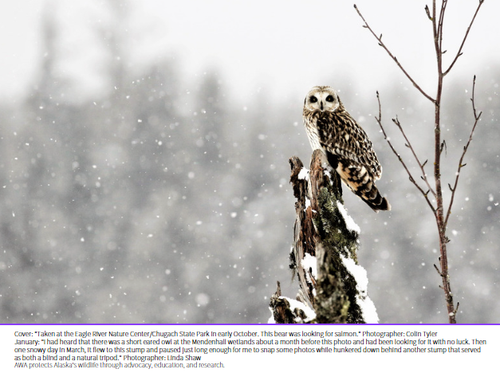 2023 Wildlife Photo Calendar Contest! — Alaska Wildlife Alliance (AWA)