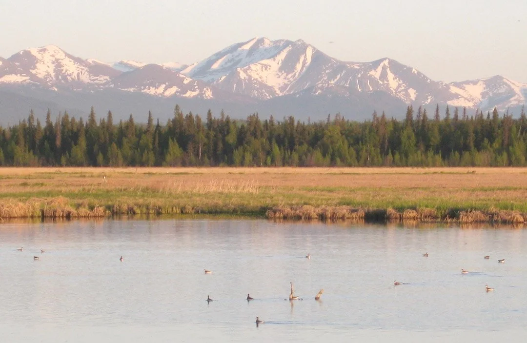 Chickaloon Flats: A Hidden Gem on the Kenai National Wildlife Refuge ...