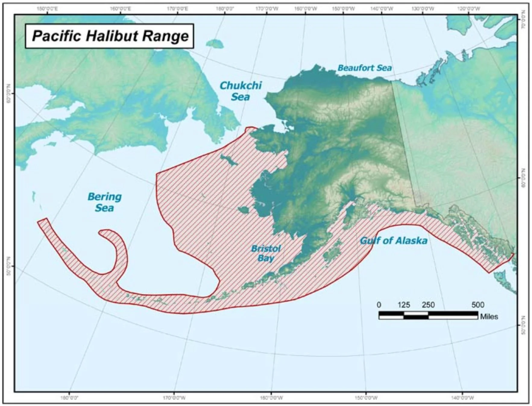 Pacific Halibut: What Makes Alaska the Halibut Capitol of the World ...