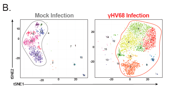 The tSNE Plugin in FlowJo: A User's Review — The Clambey Lab