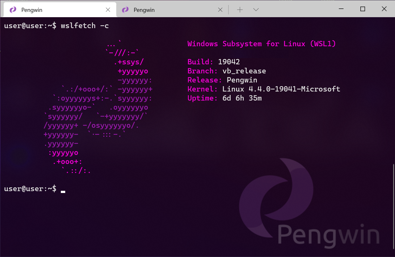 Pengwin May Update with Windows Terminal theme — Whitewater Foundry