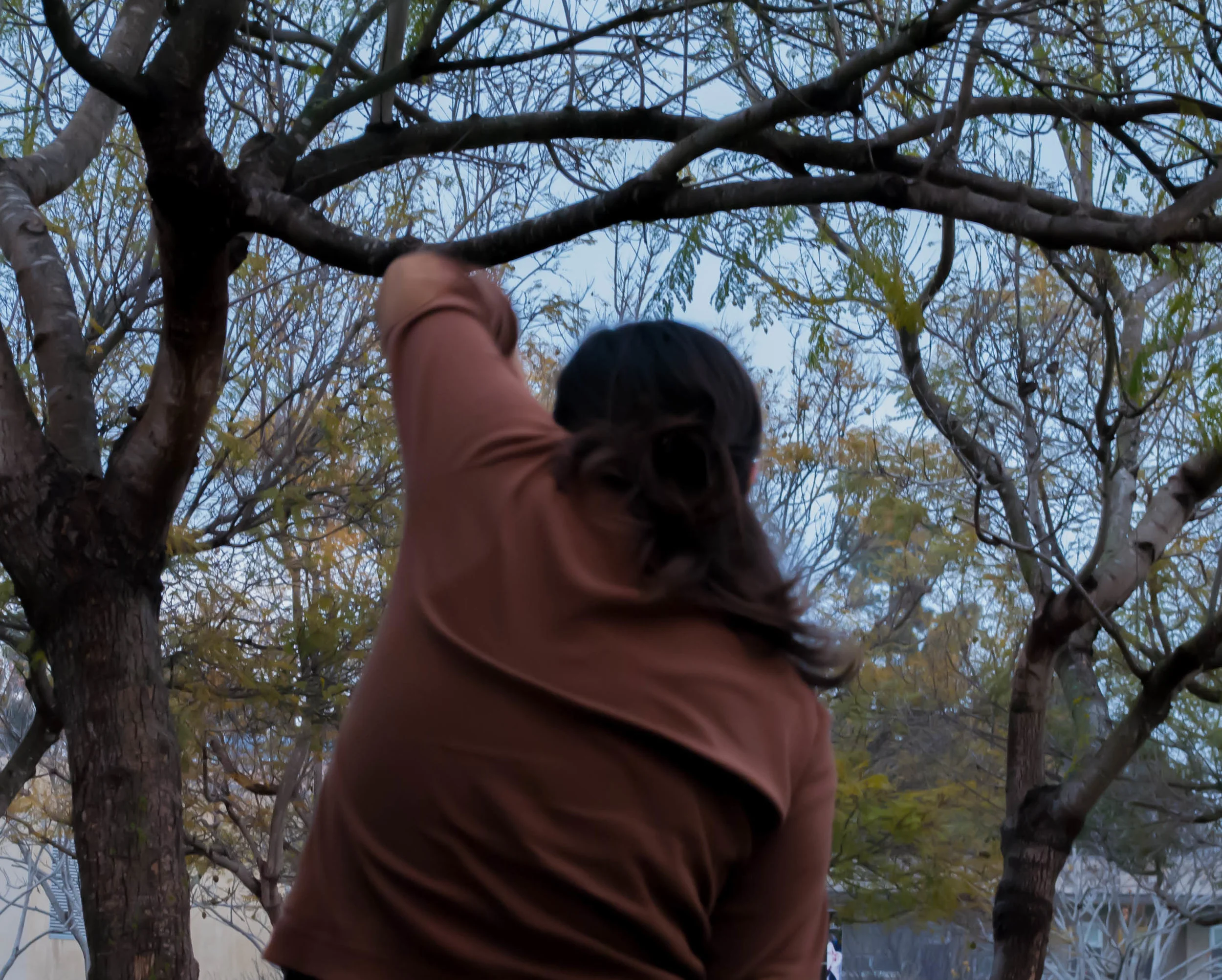 Other than Trauma — brooke smiley