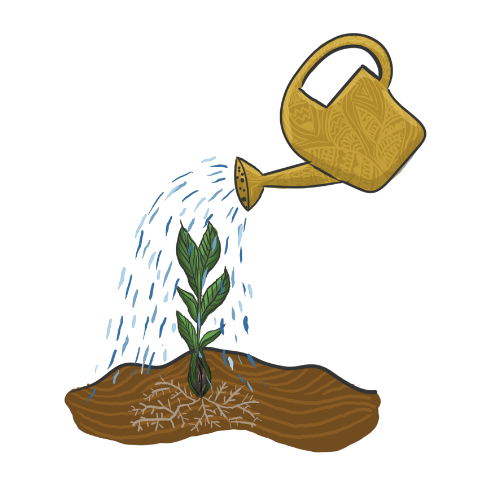 SAPHAL Program — NARIKA