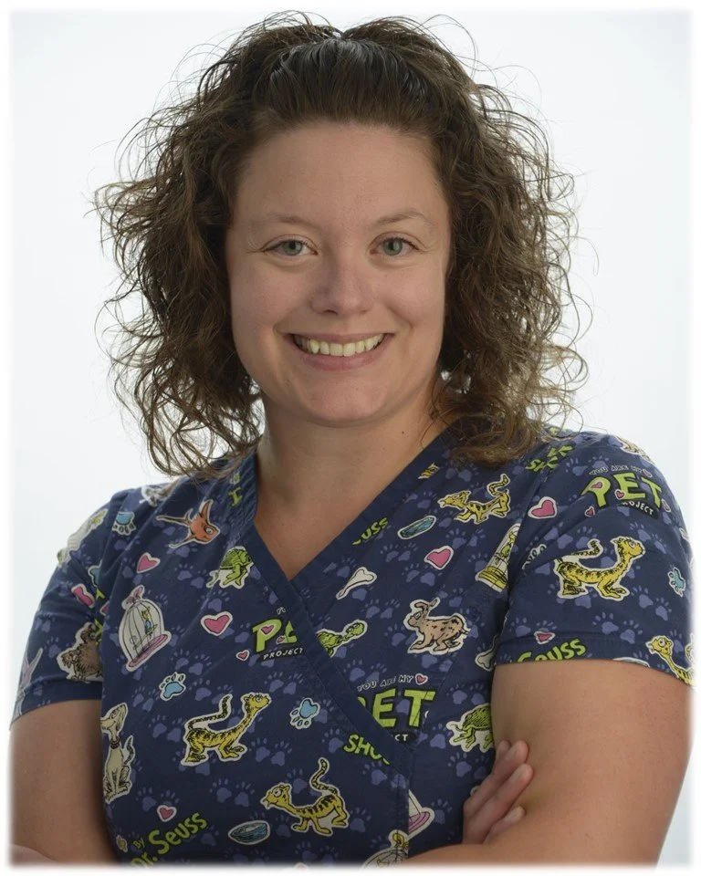 Our Veterinarian's & Animal Care Team — Careport Animal Hospital ...
