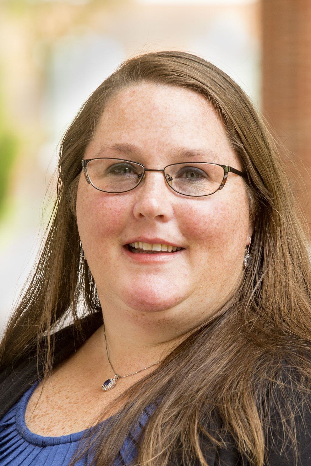 SALT — Rachel Bitecofer