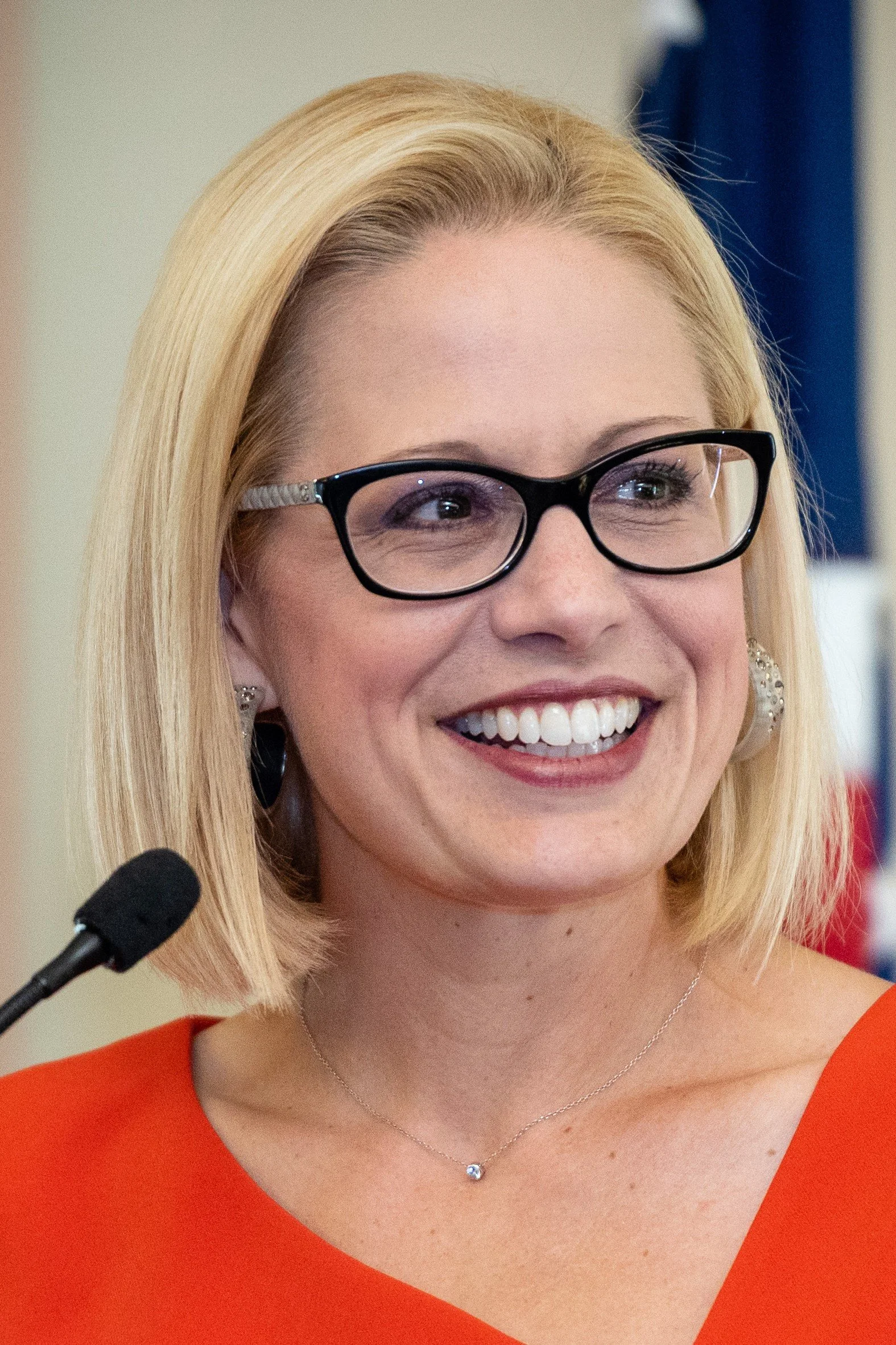 SALT — Kyrsten Sinema