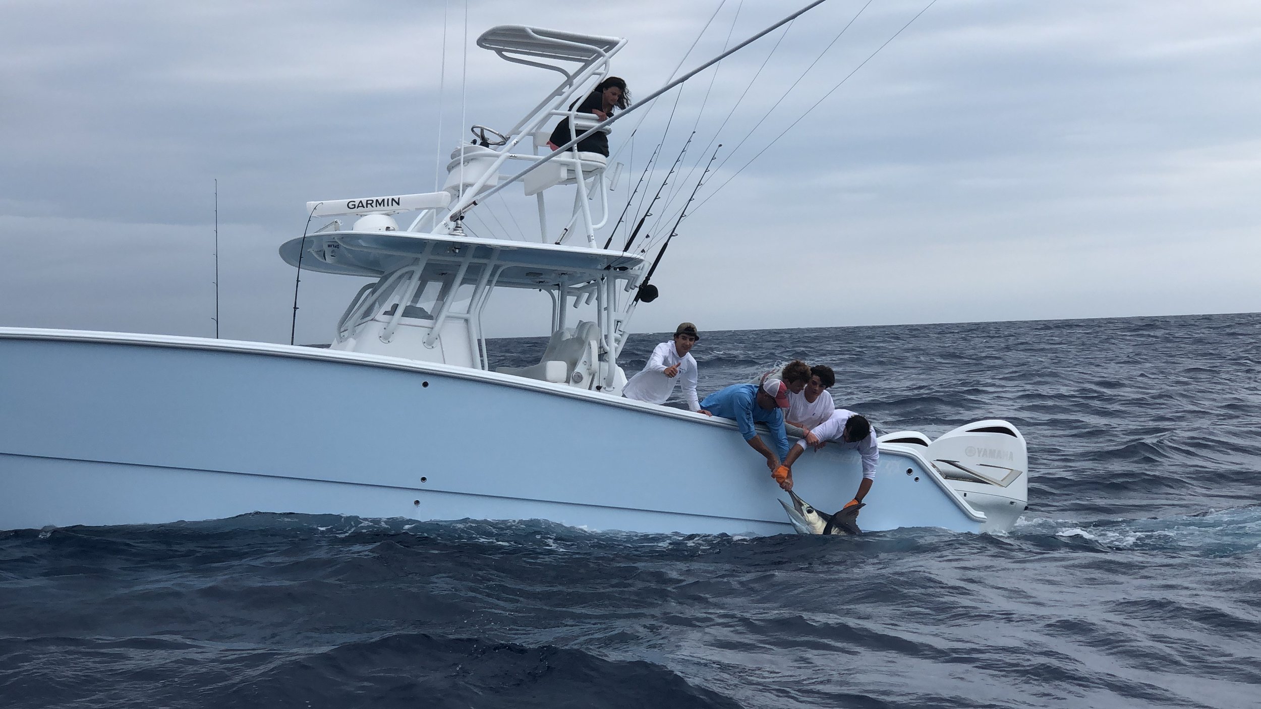 Hull Colors — Freeman Boatworks