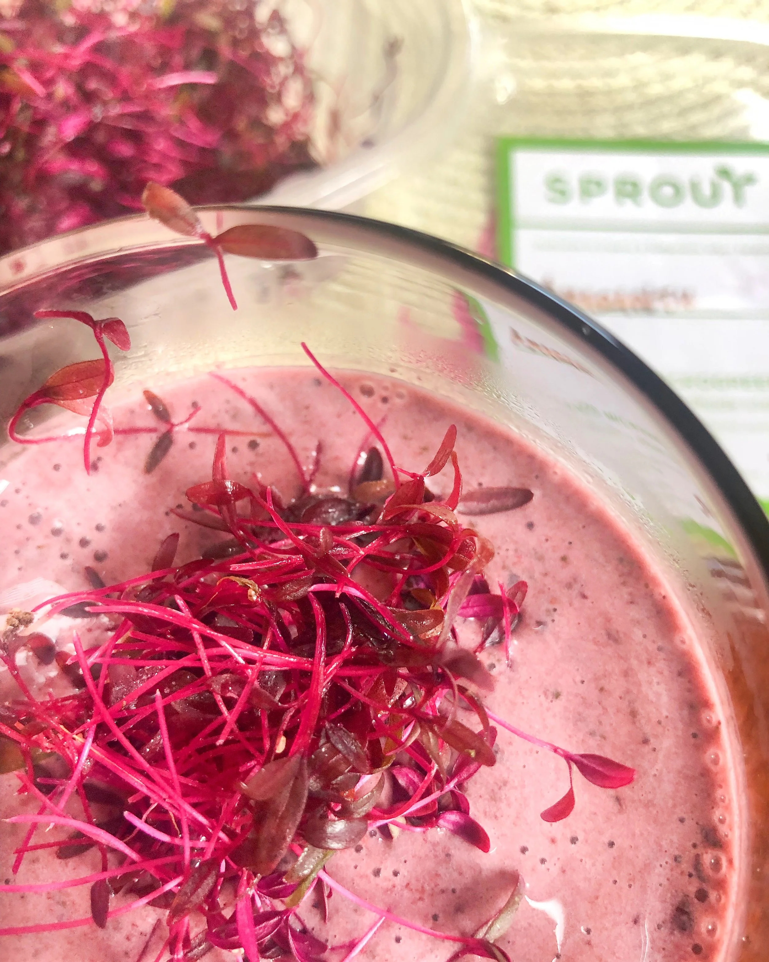 Amaranth Microgreens Recipes - Home Alqu