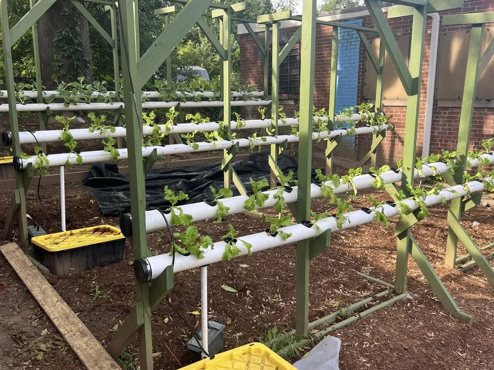 Sacred Roots Neighborhood Farm Unveils Innovative Hydroponic Farming ...