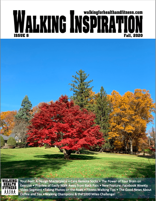 Newsletter Walking Inspiration Fall, 2020