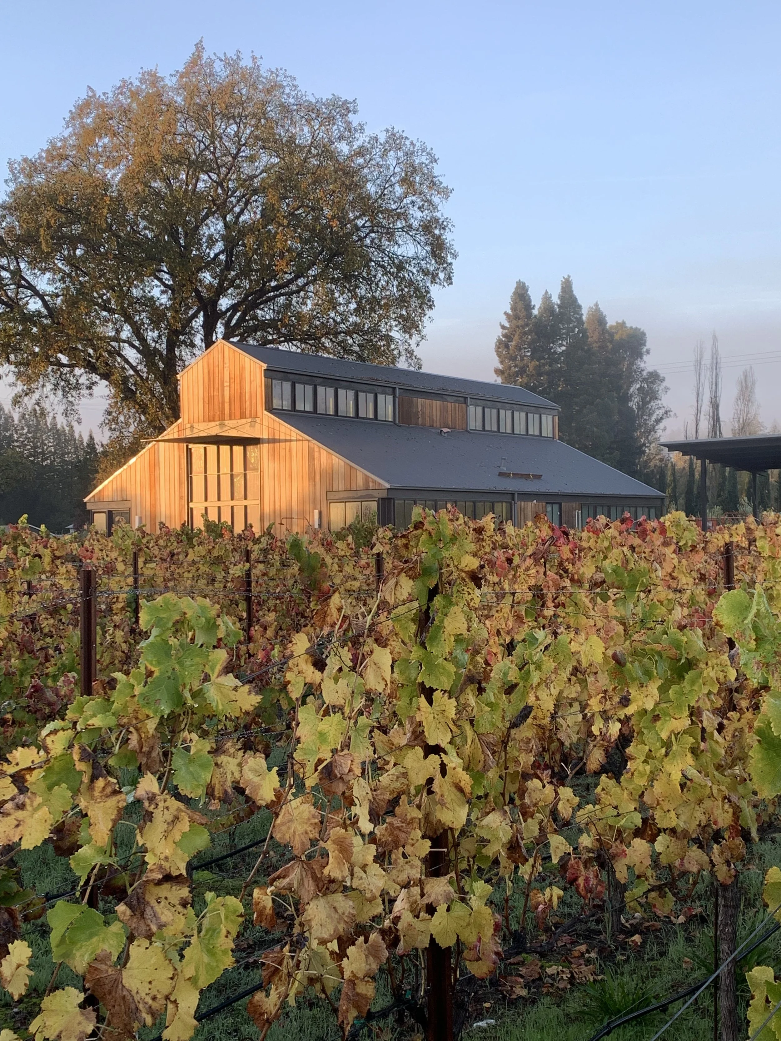 Modern Barn — APOLLO DESIGN STUDIO