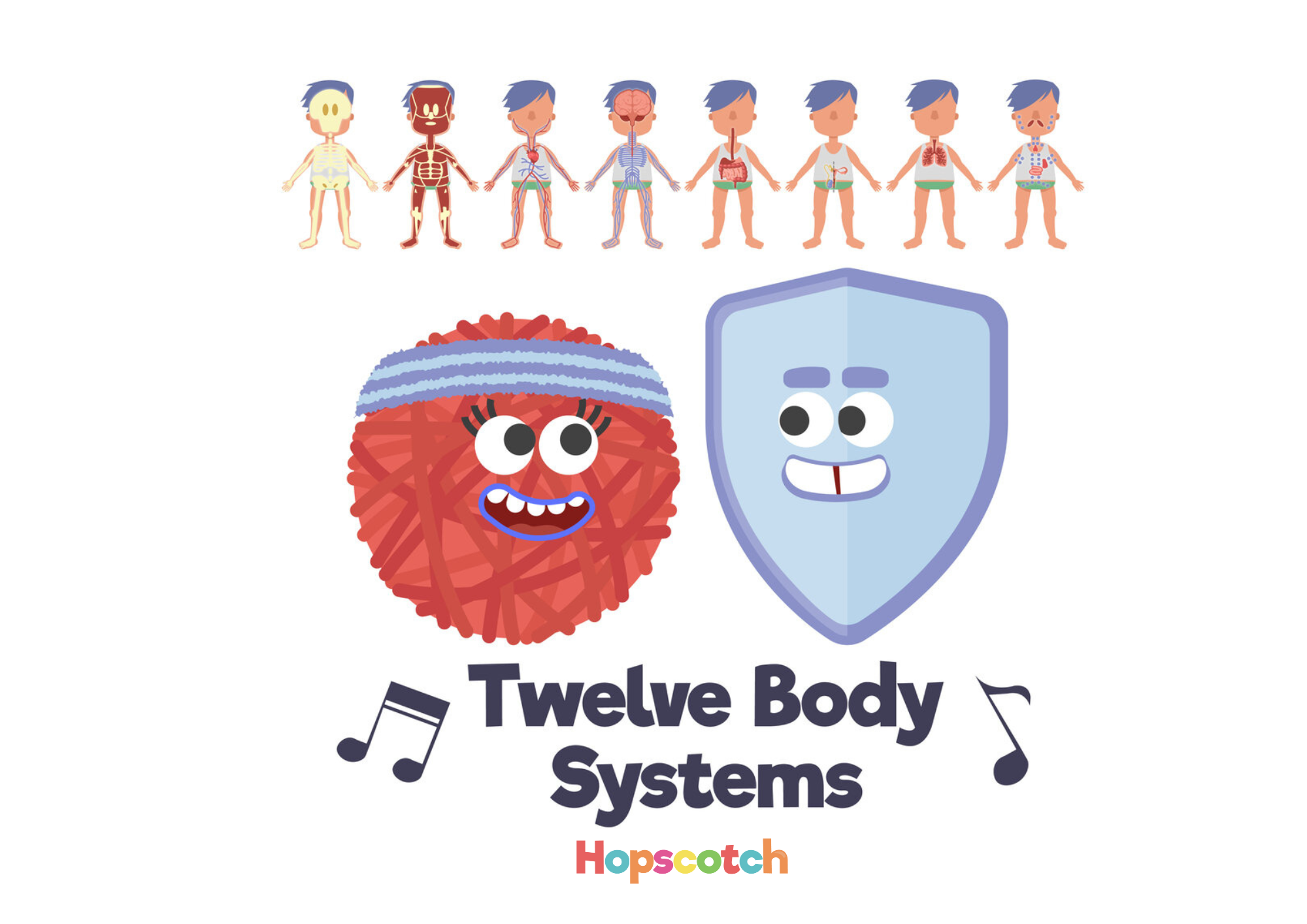 12 Body Systems Worksheet Hopscotch 12 Body Systems Worksheet 12 Body Systems Worksheet Hopscotch 12 Body Systems Worksheet