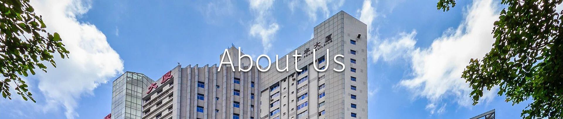 EN-ABOUT US | Flysky