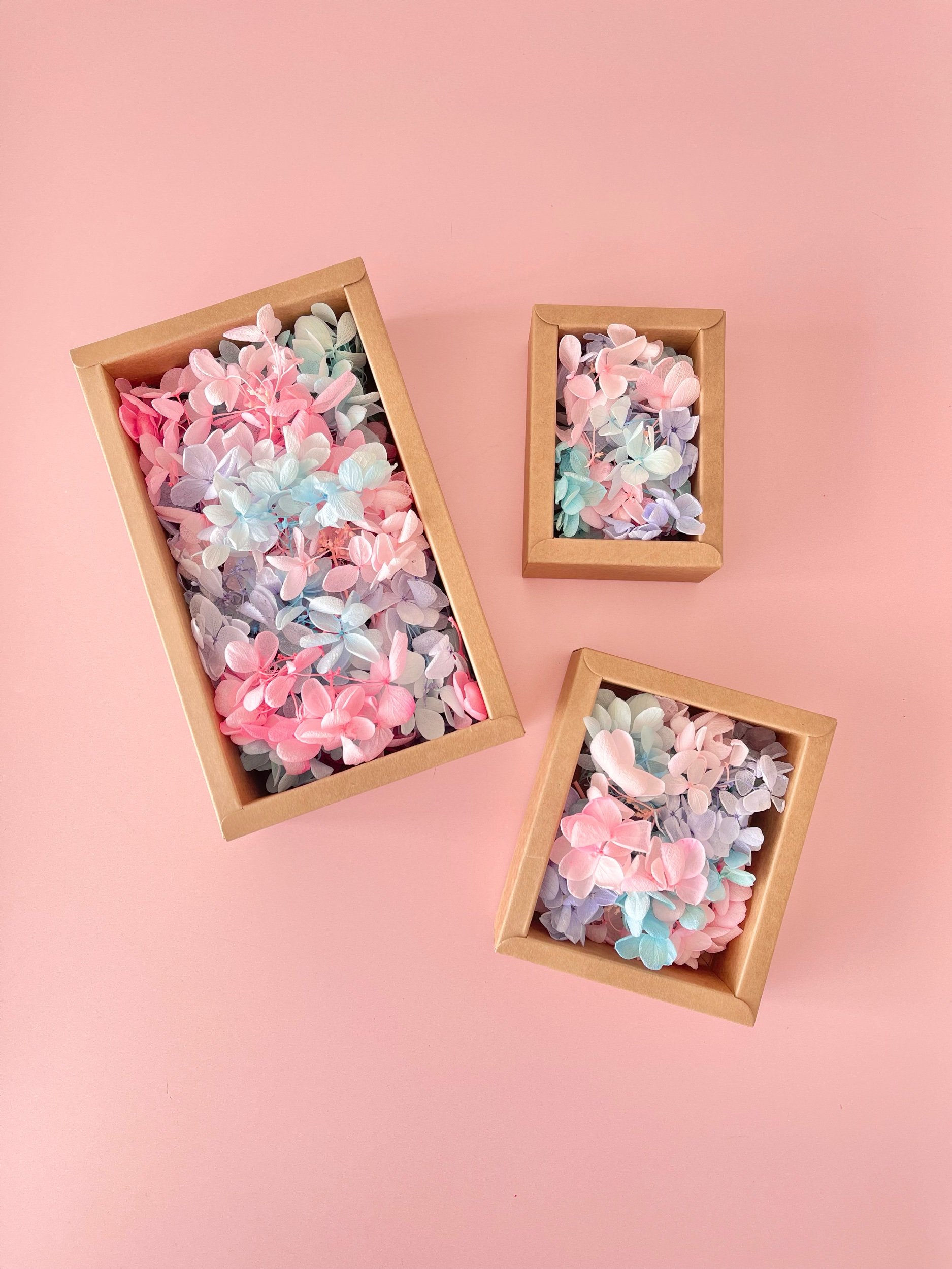 LIMITED EDITION (MEDIUM) 5g HYDRANGEA BOXES — URBAN FLOWER STUDIO
