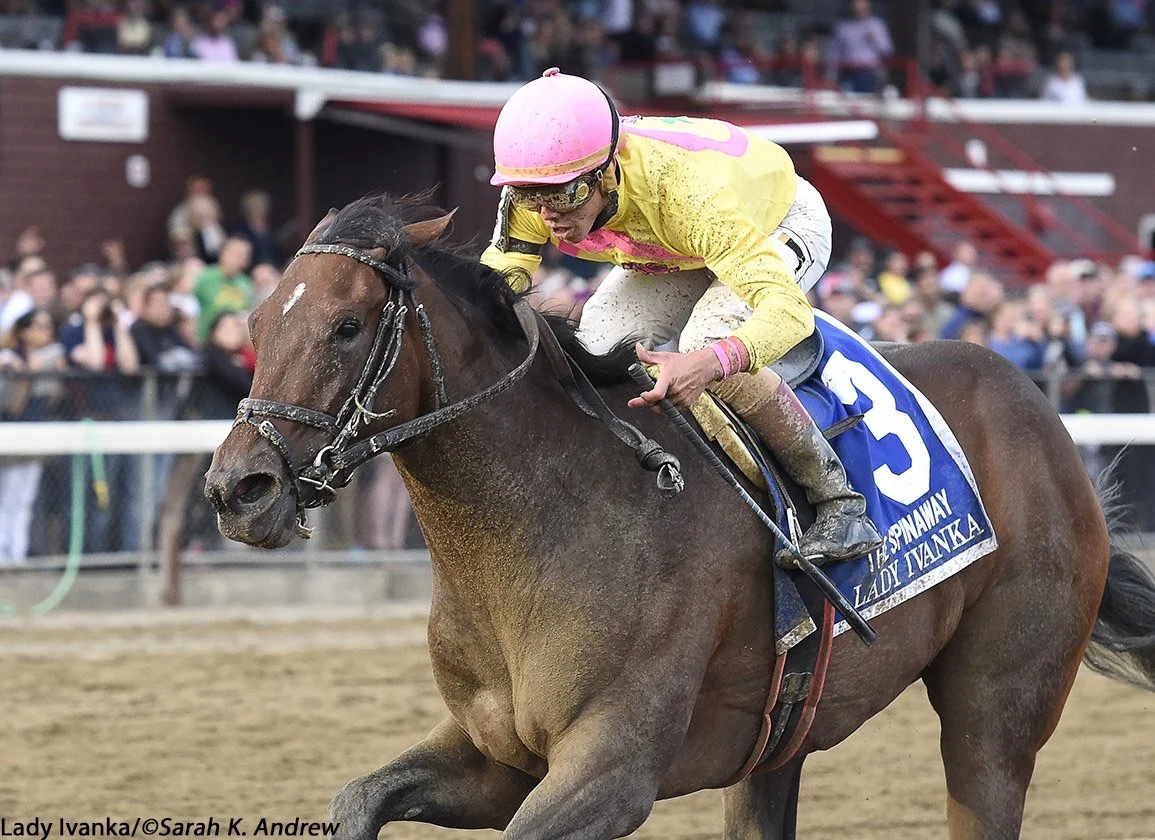 Valerio Bloodstock & Management, LLC