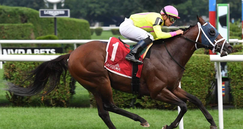 Valerio Bloodstock & Management, LLC