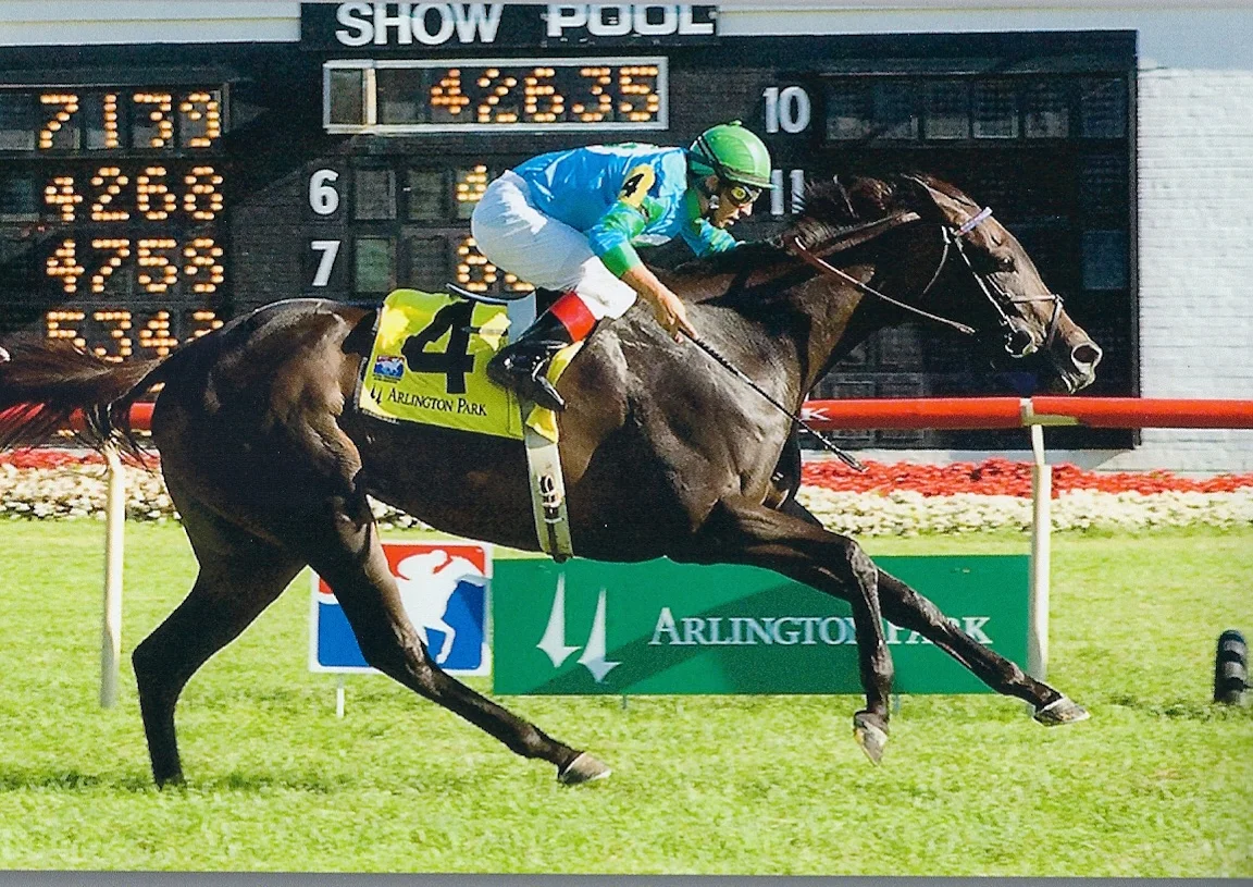 Valerio Bloodstock & Management, LLC