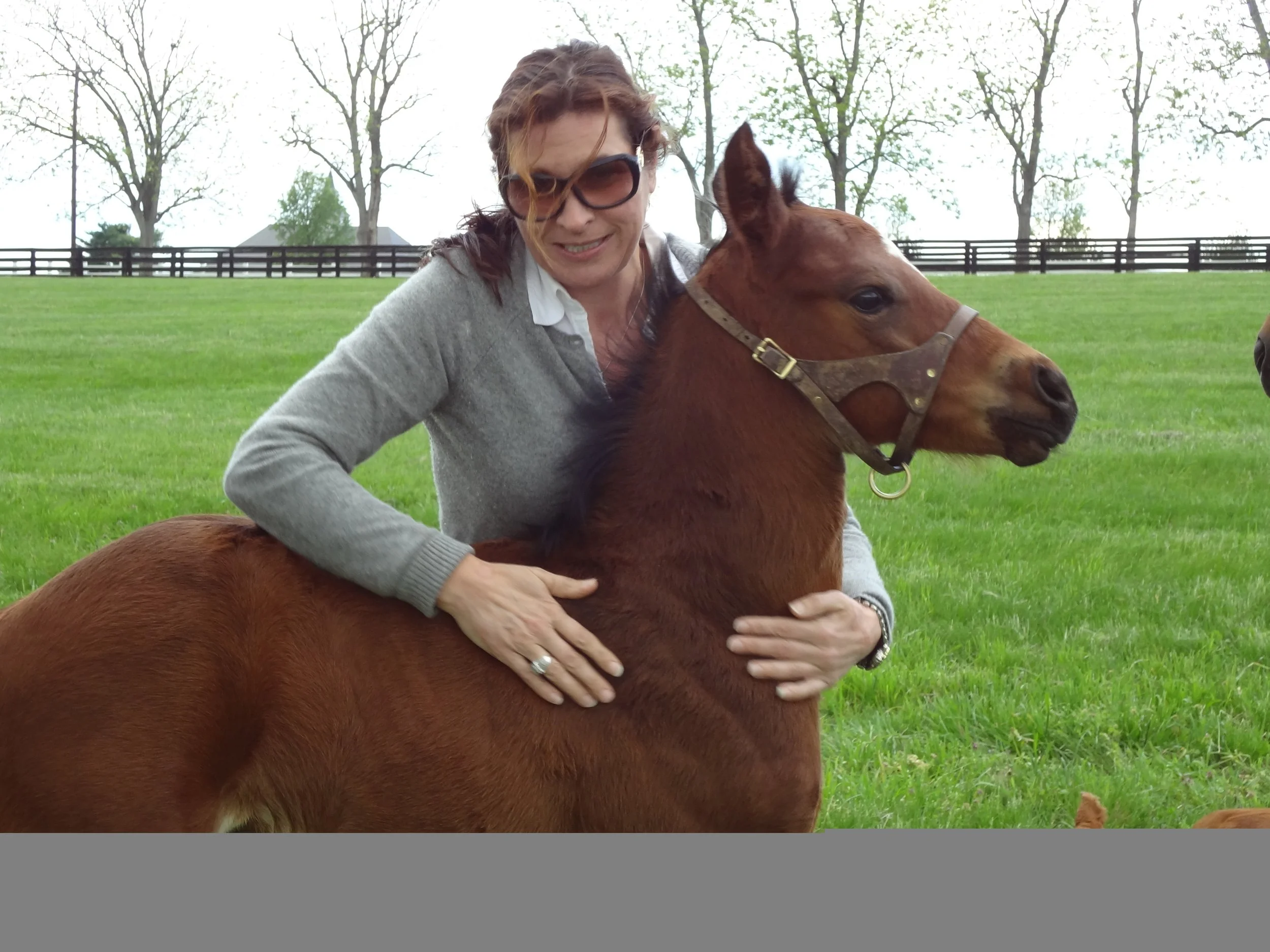 Valerio Bloodstock & Management, LLC