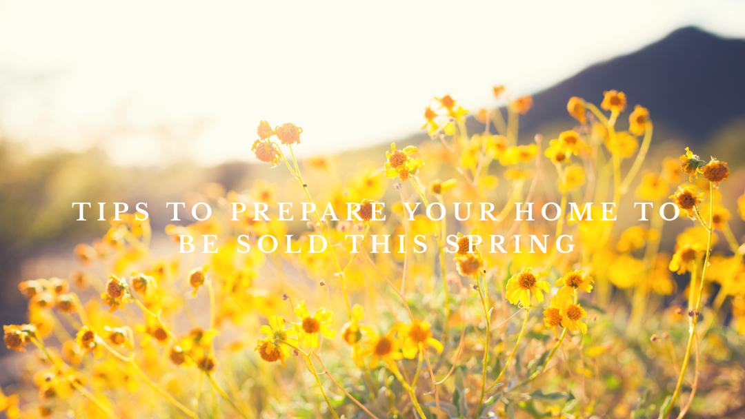 Tips To Prepare Your Home To Be Sold This Spring — The Steve Ritter Team