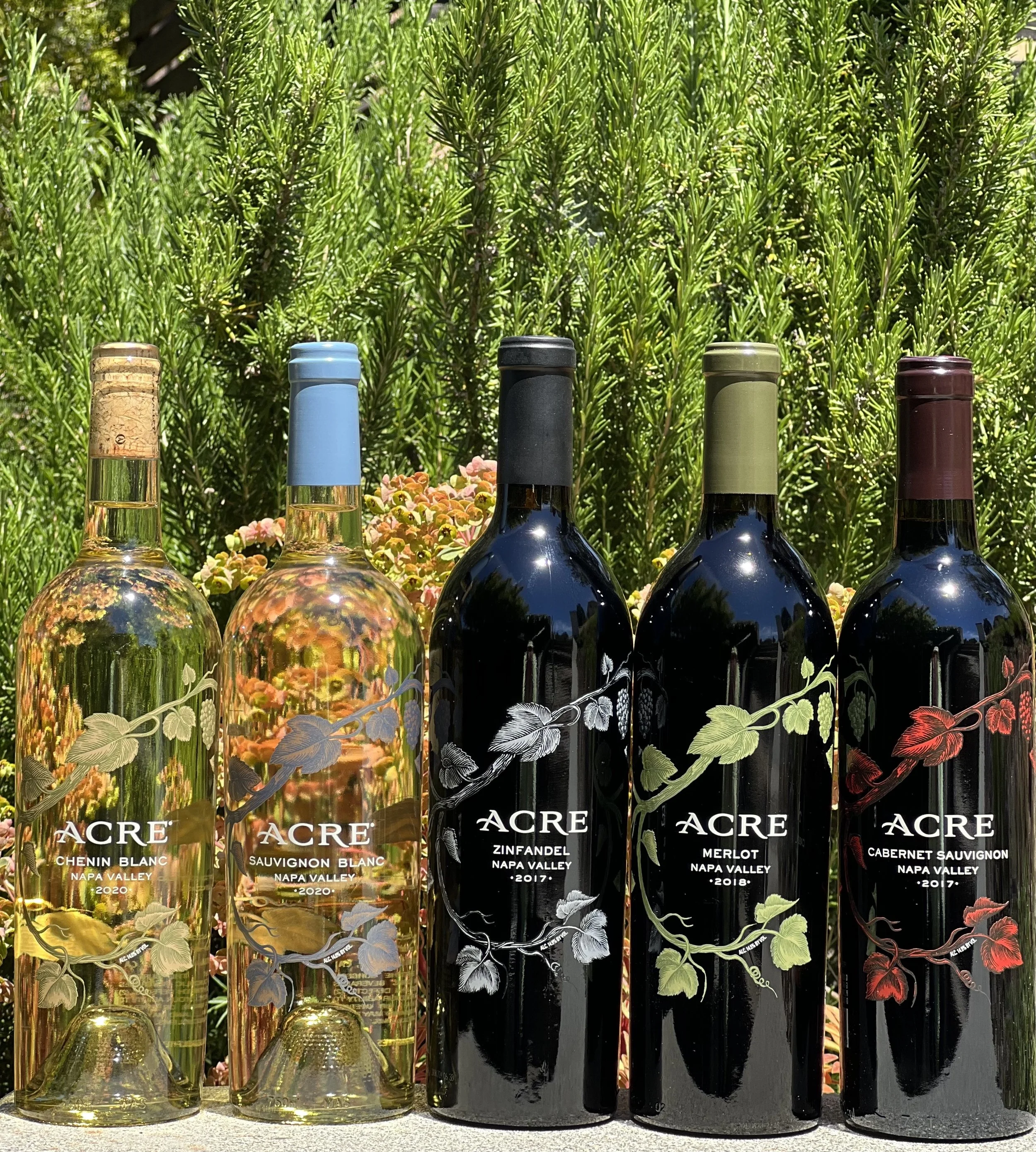 About Our Wines — Acre Wines