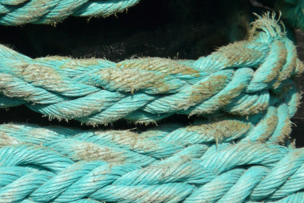 A Comparison of Brighter Vision, TherapySites and My Digital Maven — My ...