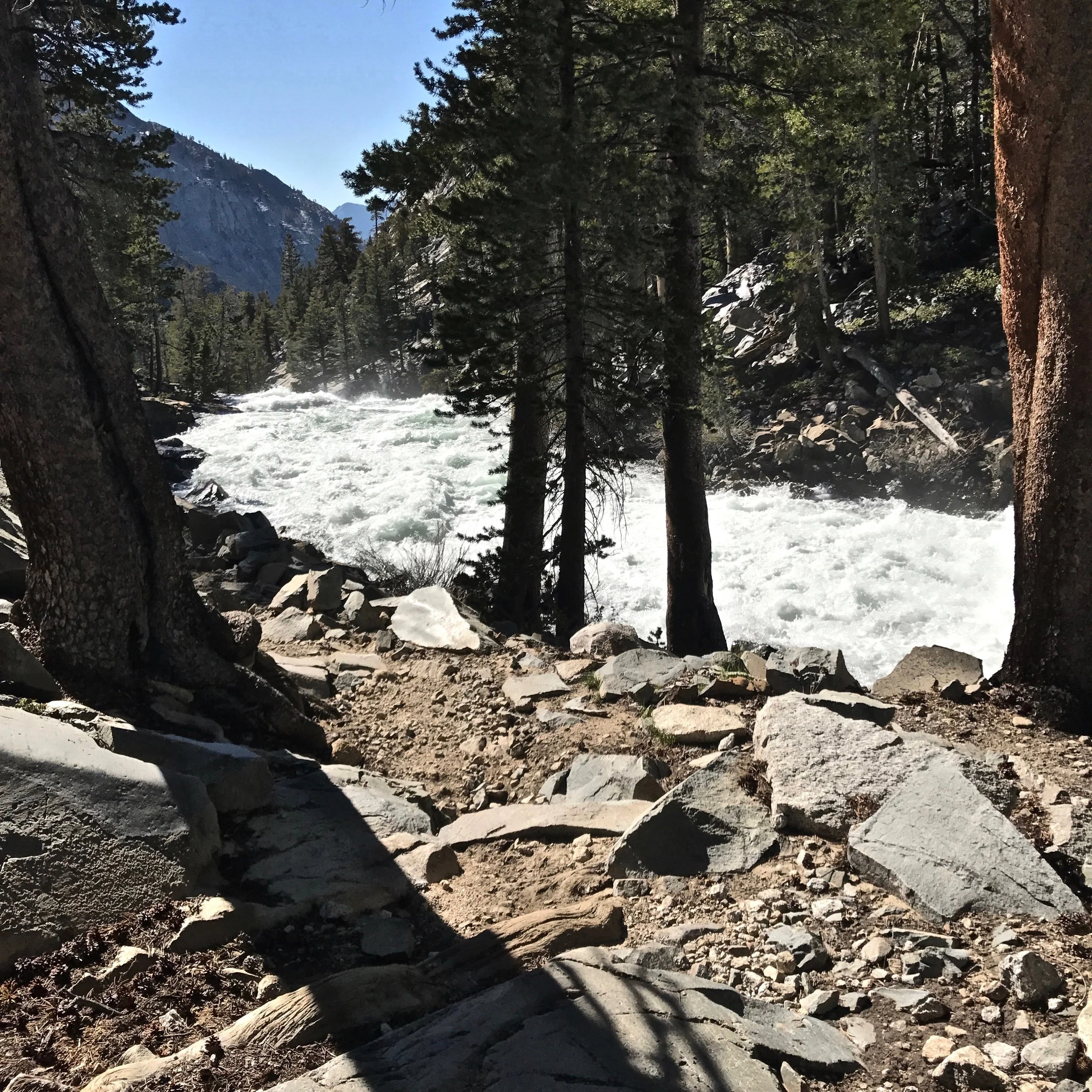 A Swim in Evolution Creek — Hike-a-saurus Treks