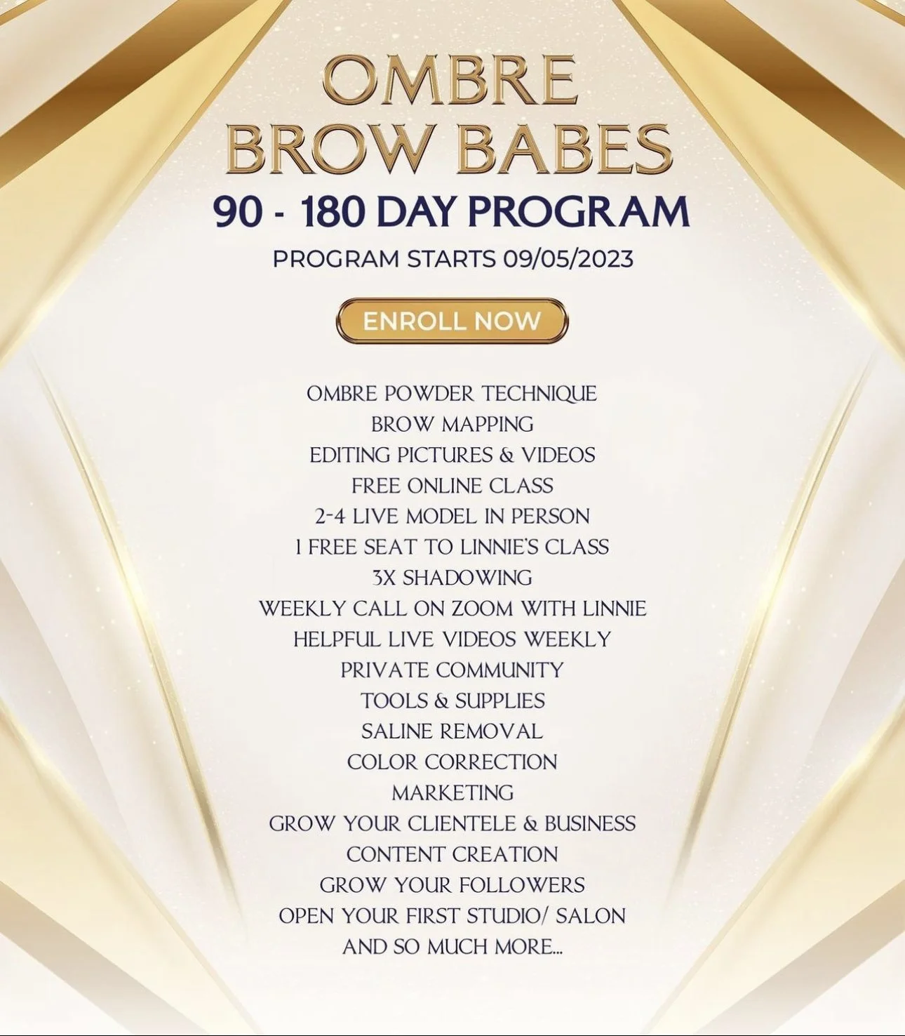 Permanent Make-Up Brow Training — Brows by Linnie