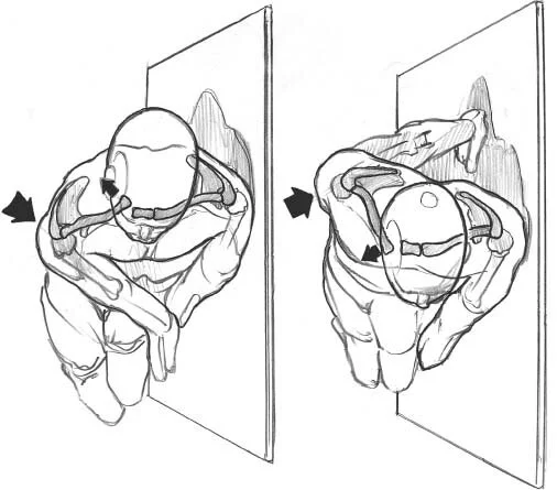 Sternoclavicular Joint Dislocation — Kwak Talk