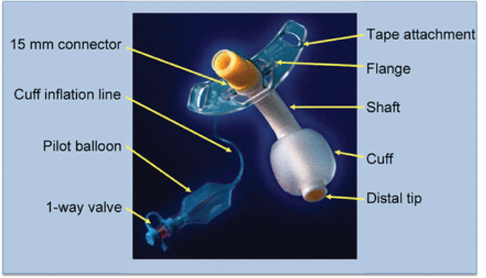 Tricks of the Trach — Kwak Talk