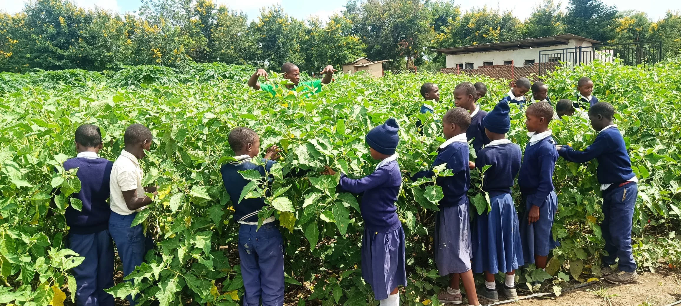 School Feeding Project — Made With Hope