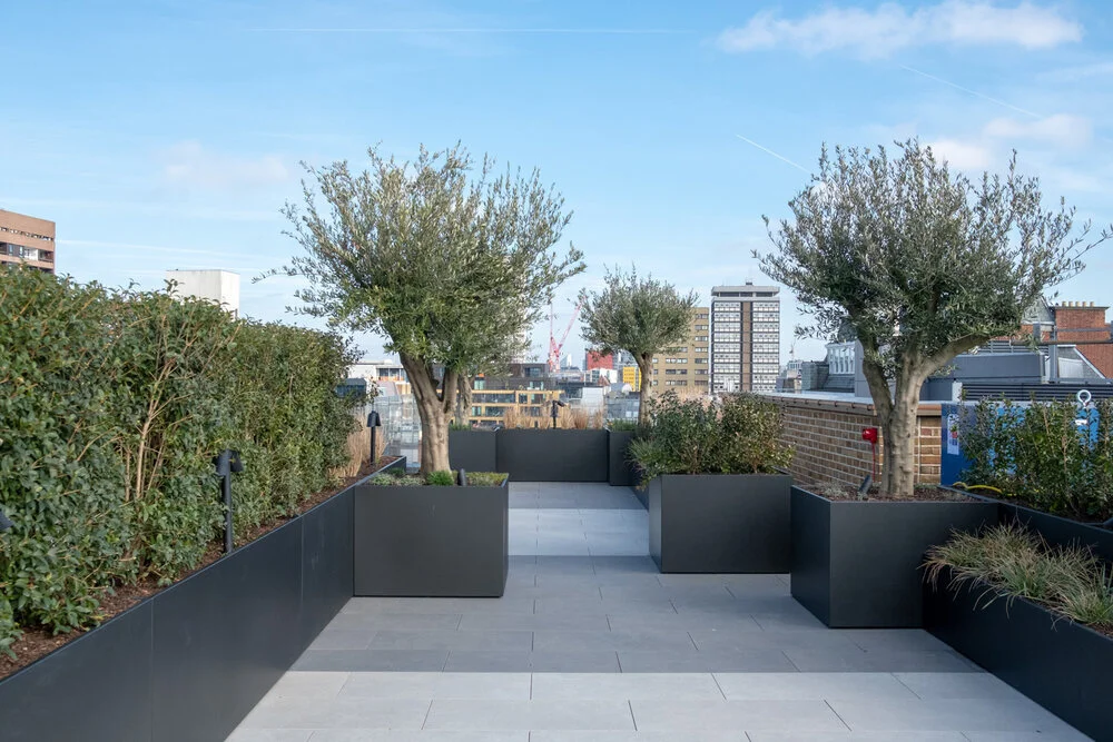 Axtell House — RED Construction Group | Main Contractor | RED ...