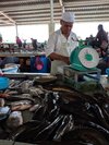 Best Place to Travel in Malaysia: A Market Visit in Kota Kinabalu