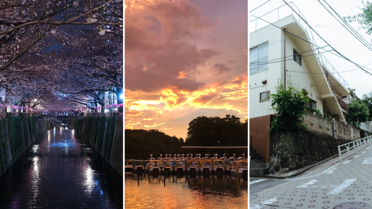 3 Best Neighborhoods in Tokyo to Visit
