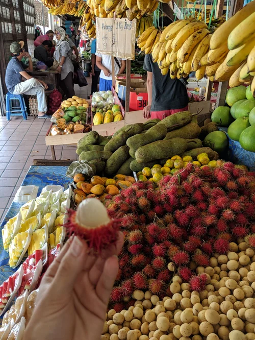 Best Place to Travel in Malaysia: A Market Visit in Kota Kinabalu