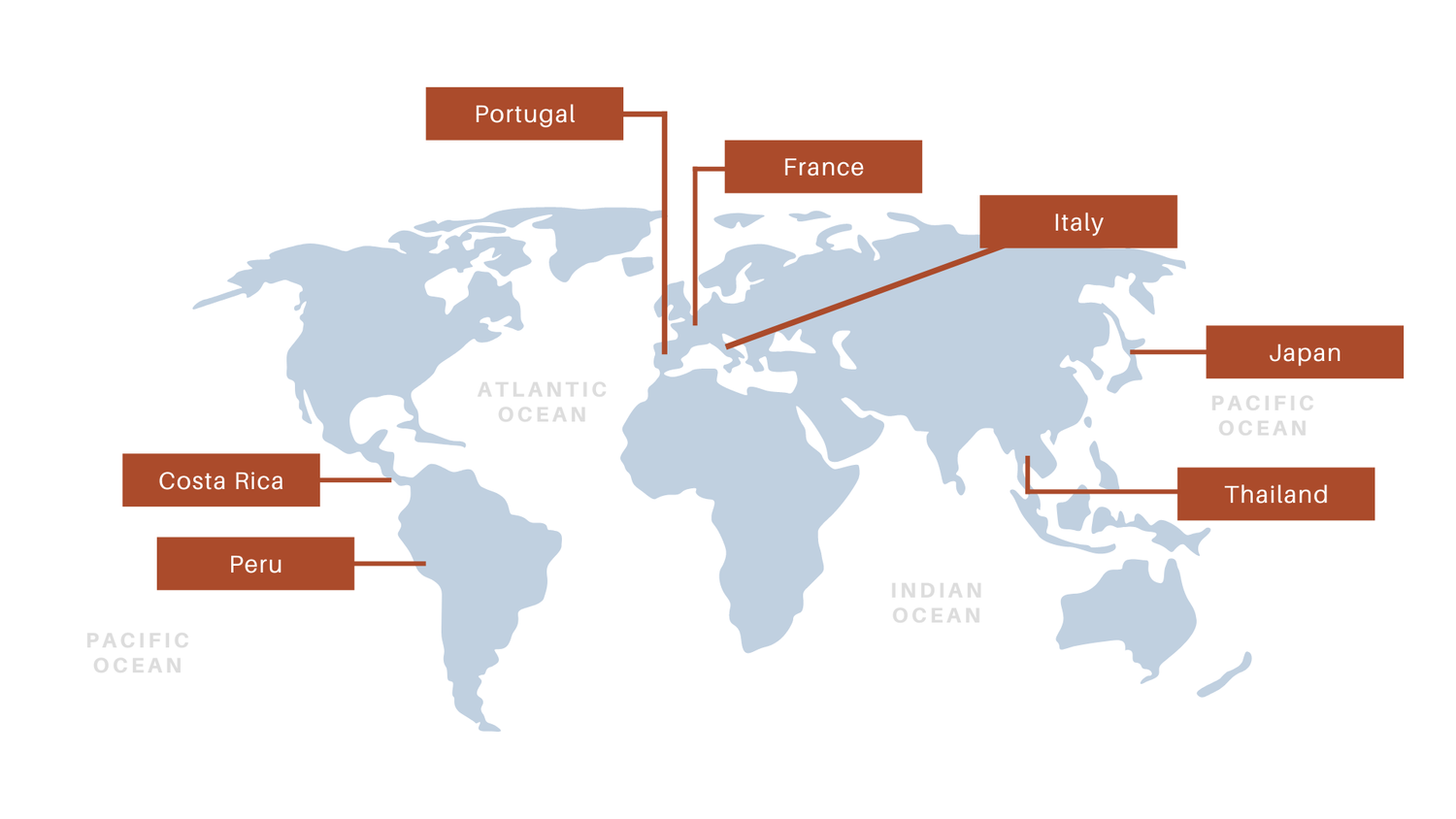 Online cooking classes with international chefs