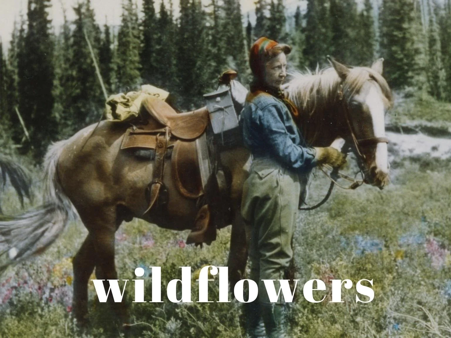 Finding Mary Schaffer Warren — TRIXIE PACIS