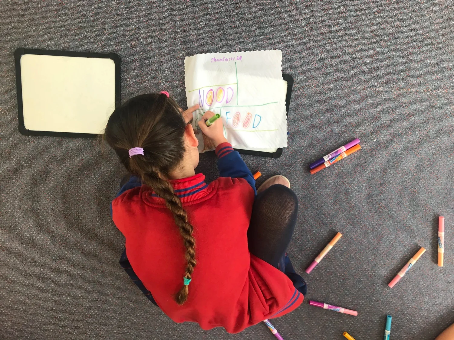 Incursions for Primary — Earth Crusaders