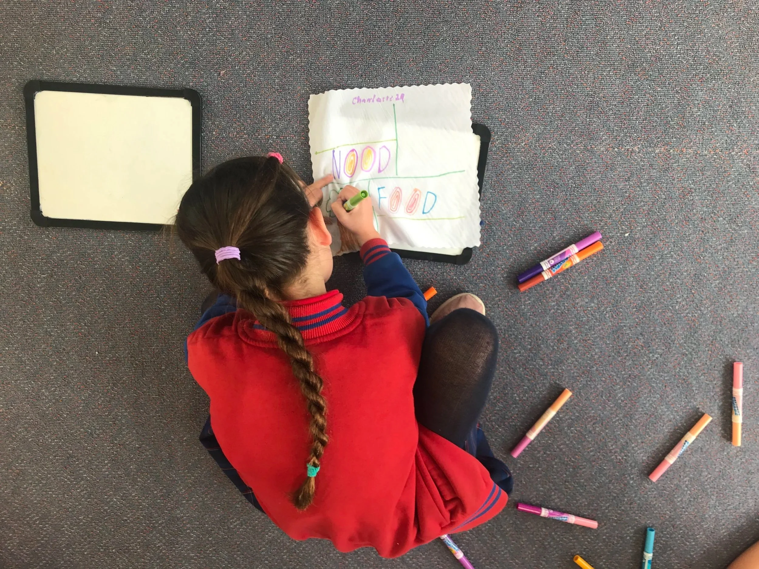 Incursions for Primary — Earth Crusaders