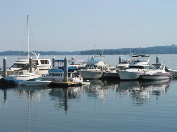 Live View — Port of Silverdale