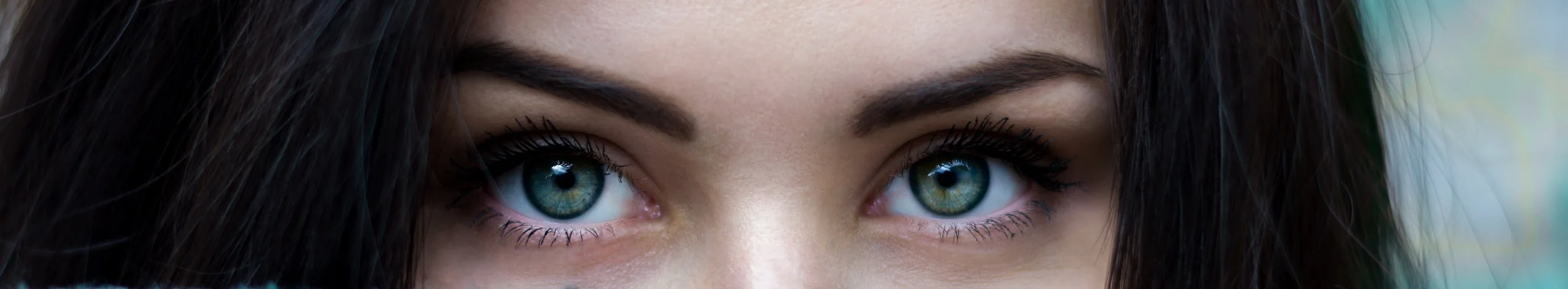 Services — The Lash Factory