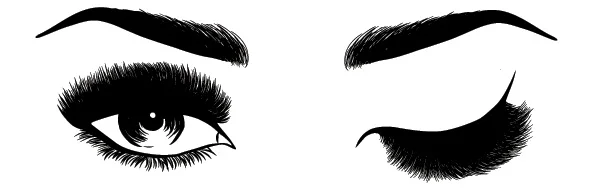 Services — The Lash Factory