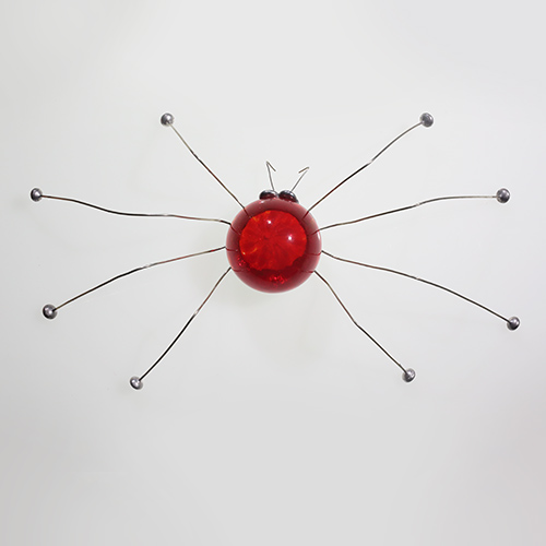Daddy Long Legs Red Body