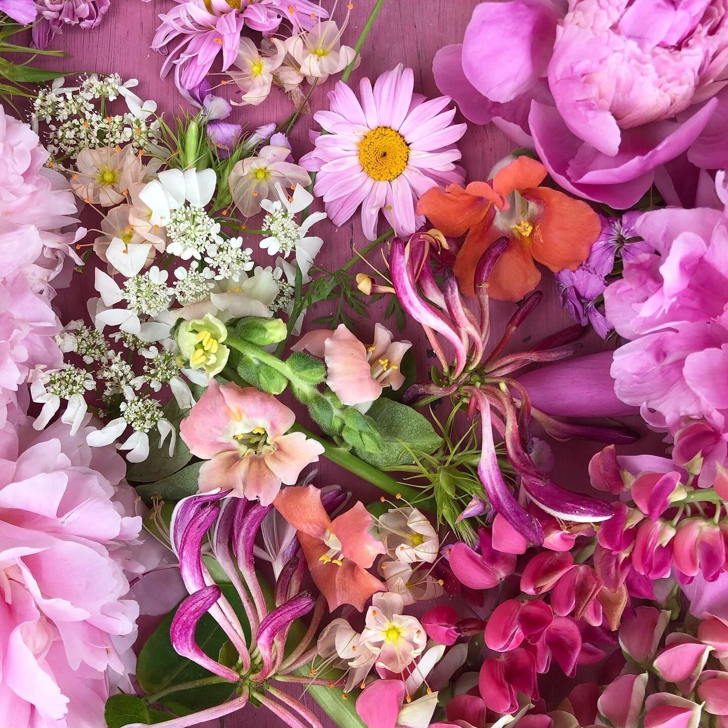 Contact us — Leafy Couture