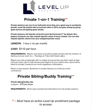 Private Soccer Training | Indoor Soccer | Level Up Soccer Coaching ...