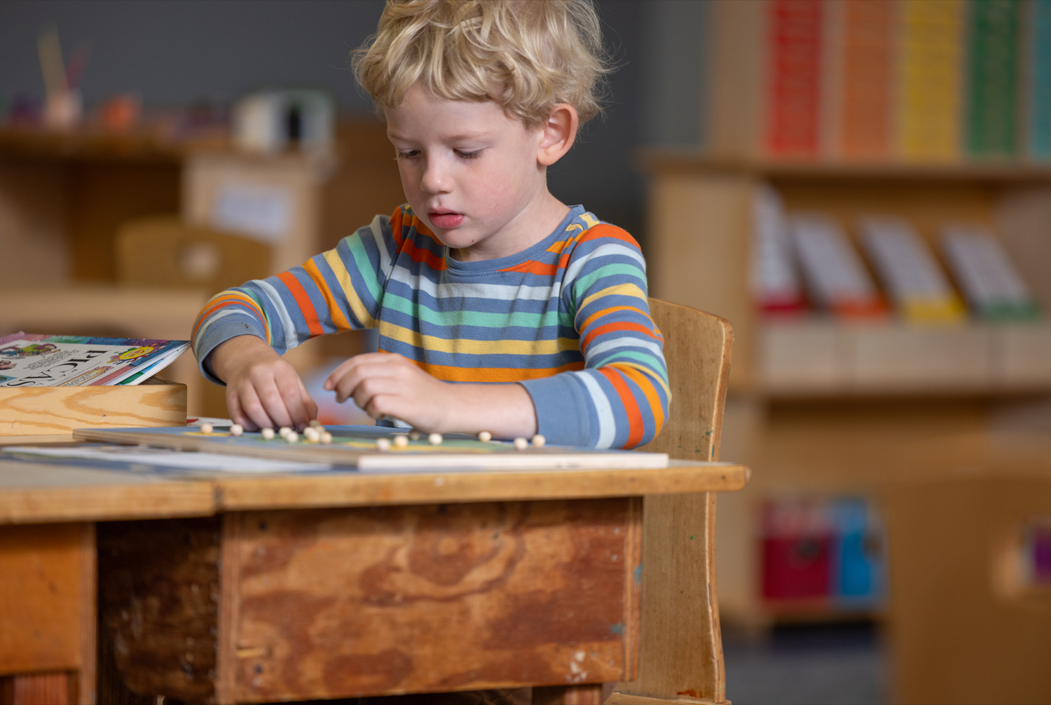 Waseca Montessori School