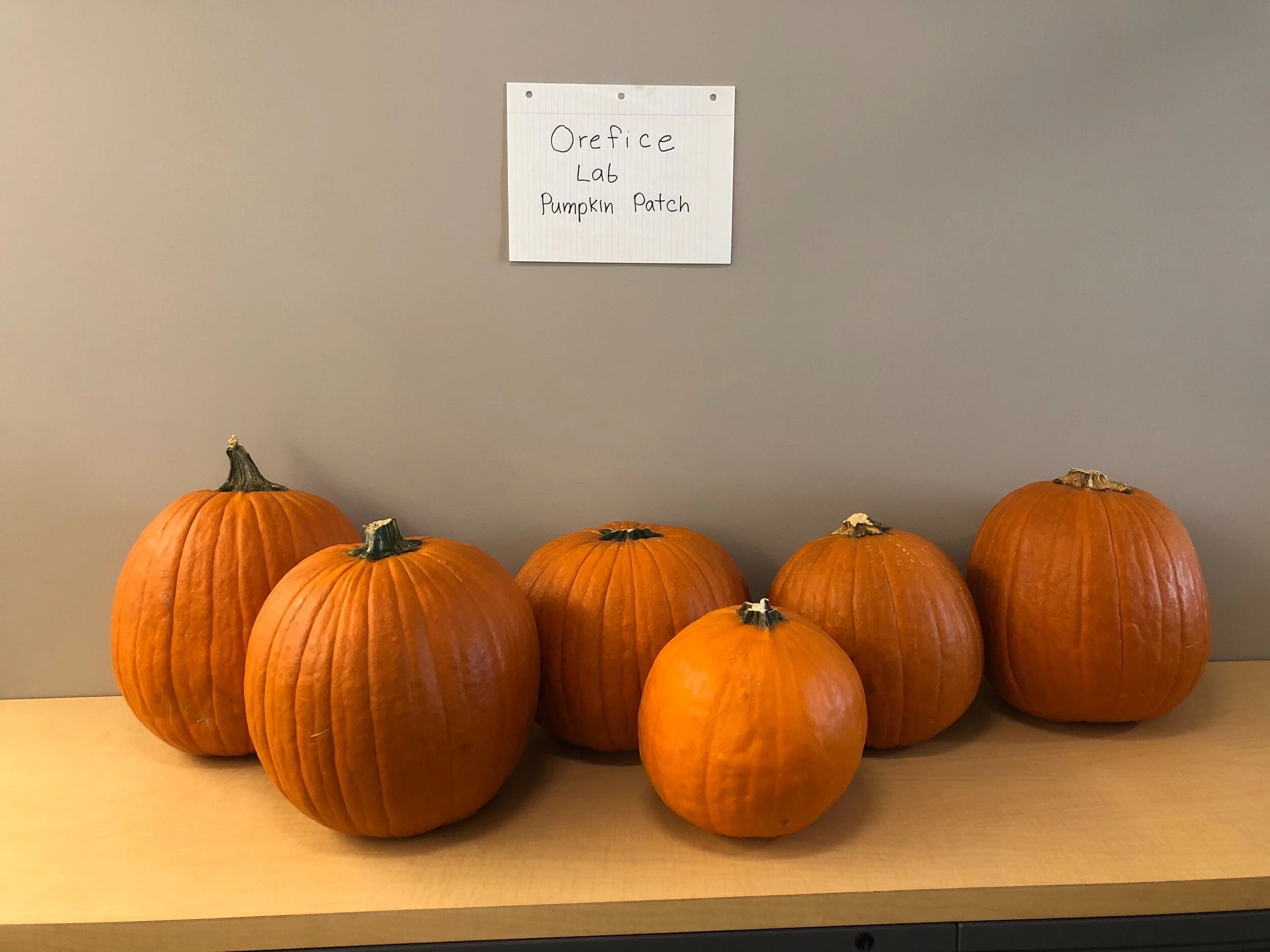 Lab Life — Orefice Lab